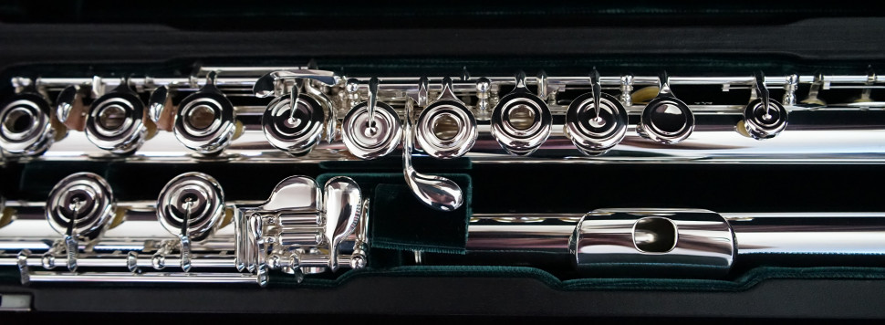 Флейта Altus - 14 RBEO-Z Half-offset (PRO/HM) купить с доставкой по России