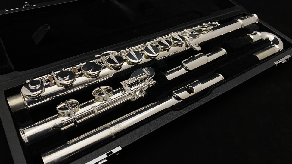 Флейта альтовая Haynes Alto flute AF670 купить с доставкой по России